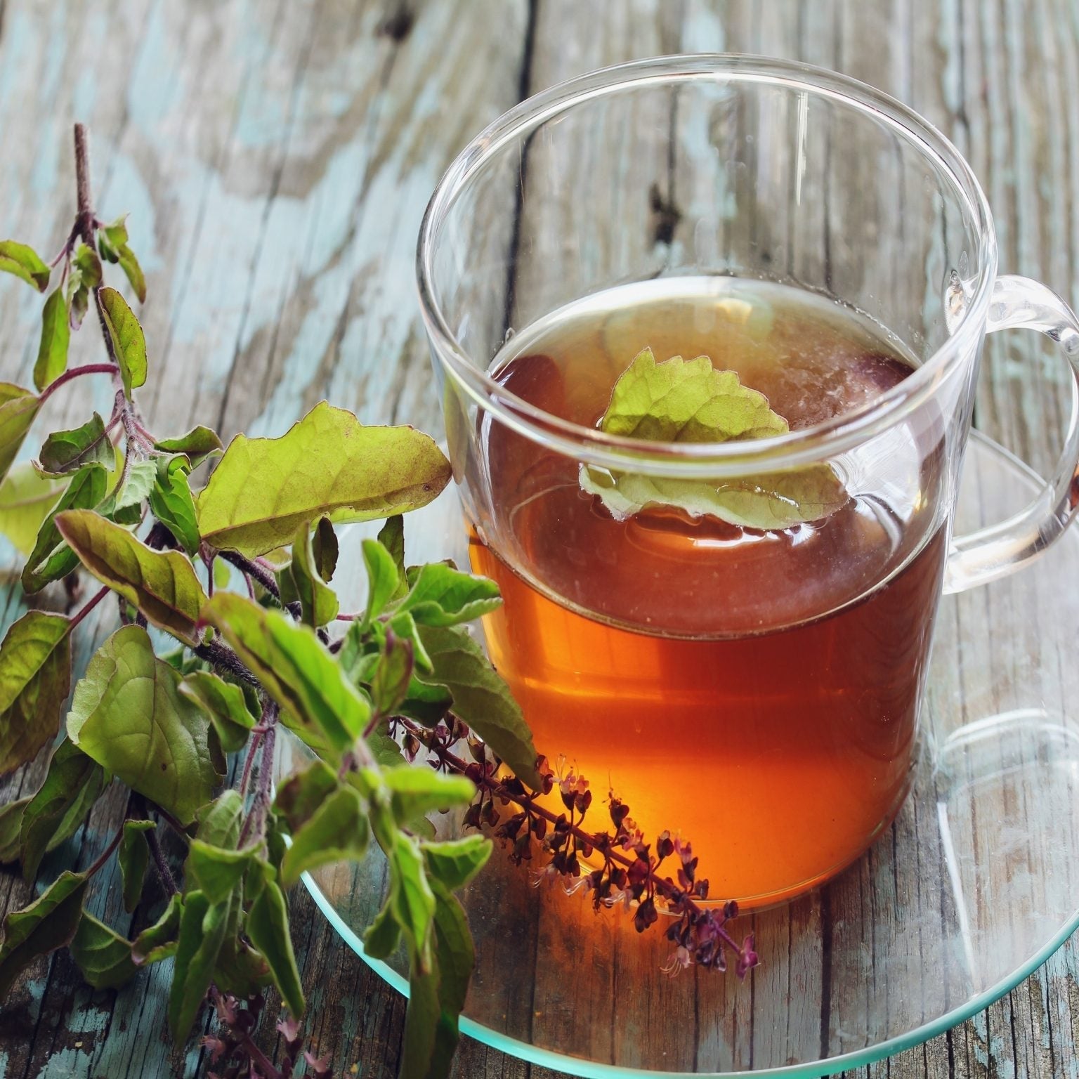 Ayurveda's Queen of the Herbs: Tulsi Leaves (Holy Basil) - Henna ...
